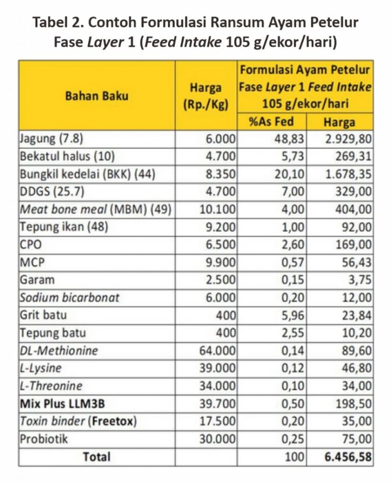 Panduan Ransum dan Pemberian Pakan Ayam Petelur | Medion