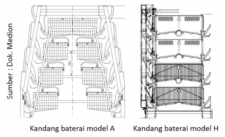 Mengenal Kandang Closed House untuk Layer Modern