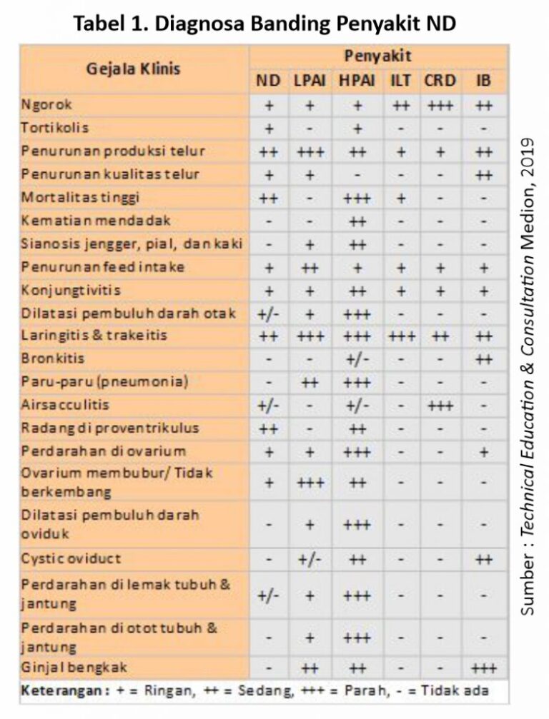 Kenali Mendalam Virus ND Terkini dan Pengendaliannya