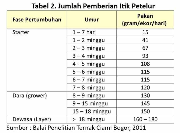Panduan Pakan dan Manajemen Itik Petelur Efisien - Medion